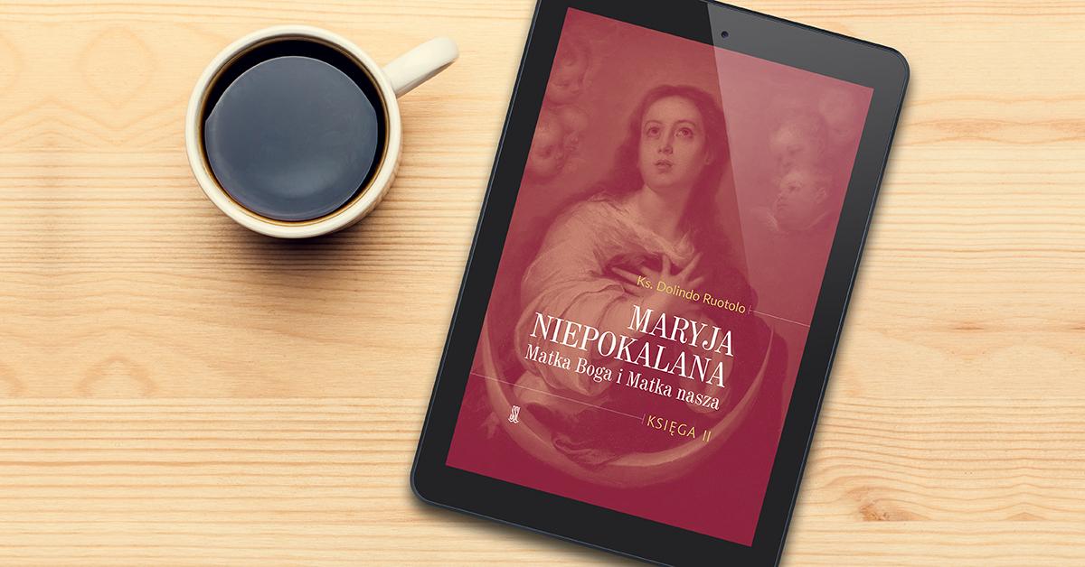 Maryja Niepokalana Matka Boga i Matka nasza Księga 2 (EBOOK) | ks ...